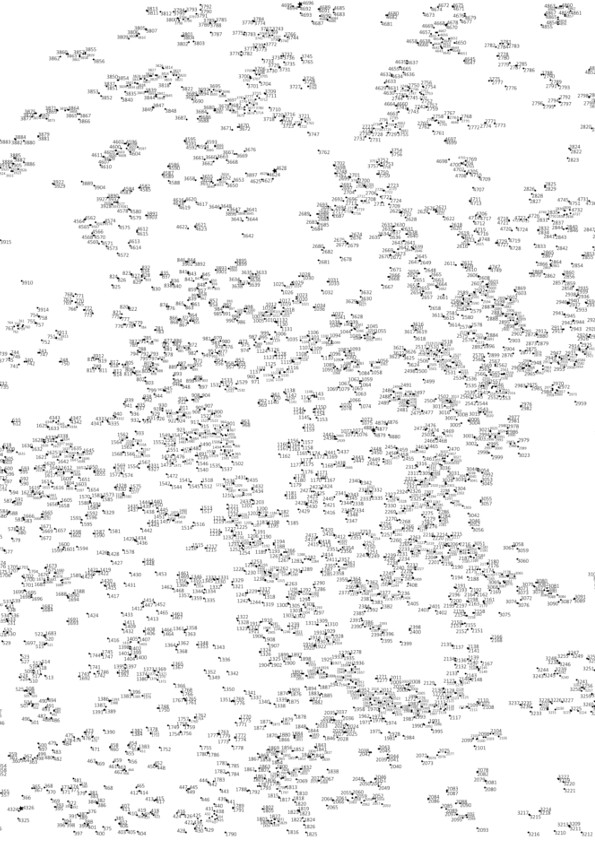 Extreme dot-to-dot printable animal 4898 dots - Planetpsyd